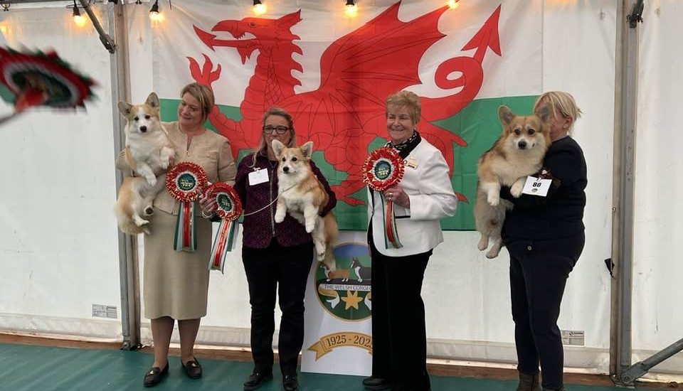 The Welsh Corgi Club Centenary Show – Welsh Corgi Club NSW